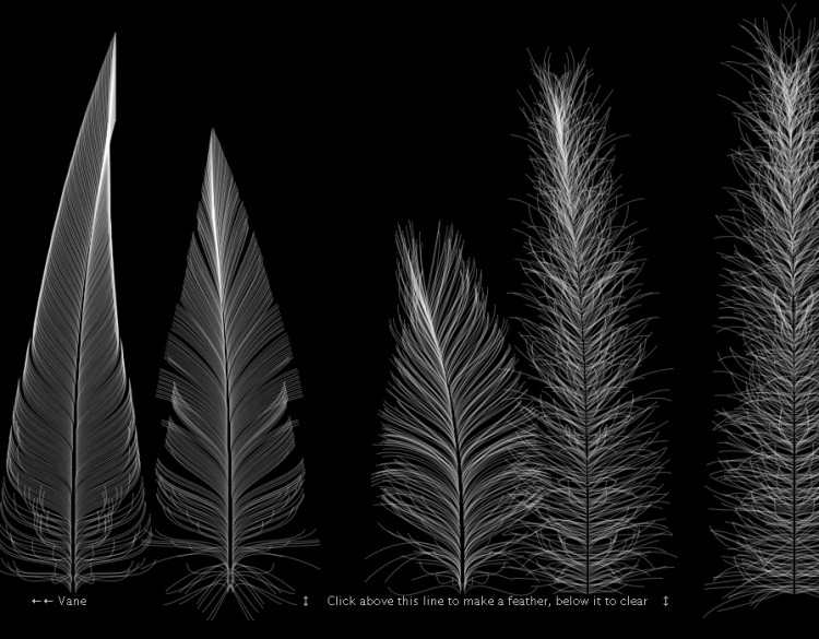 OpenProcessing Feathers - Interactive Design Archive